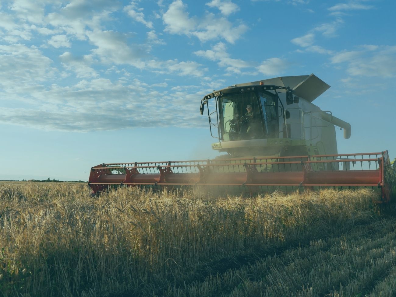 Produtor Rural, você conhece o FIAGRO? - Brasil Salomao - Brasil Salomao